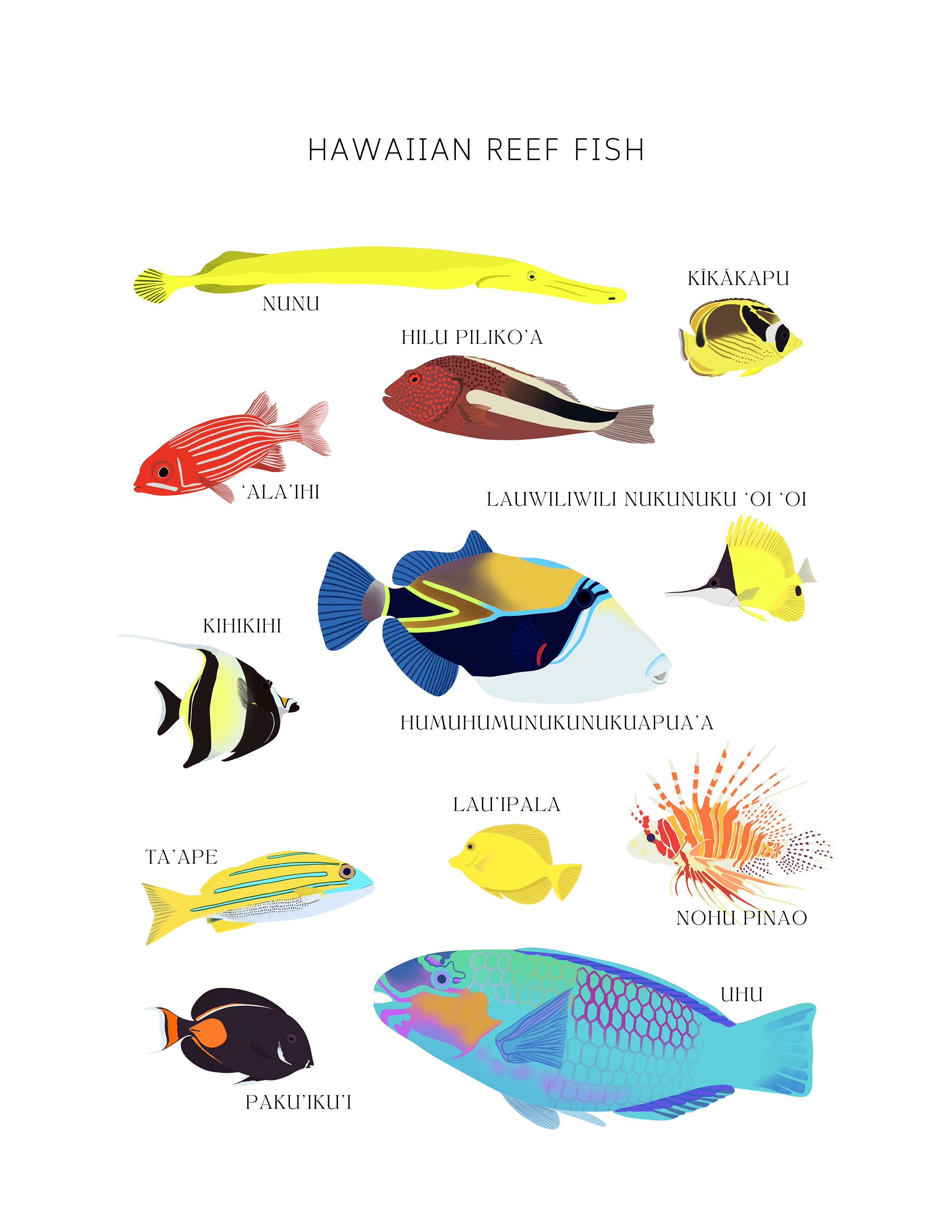 Hawaii Reef Fish Poster, Digital Print, 'Ōlelo Hawai'i, Hawaiian ...