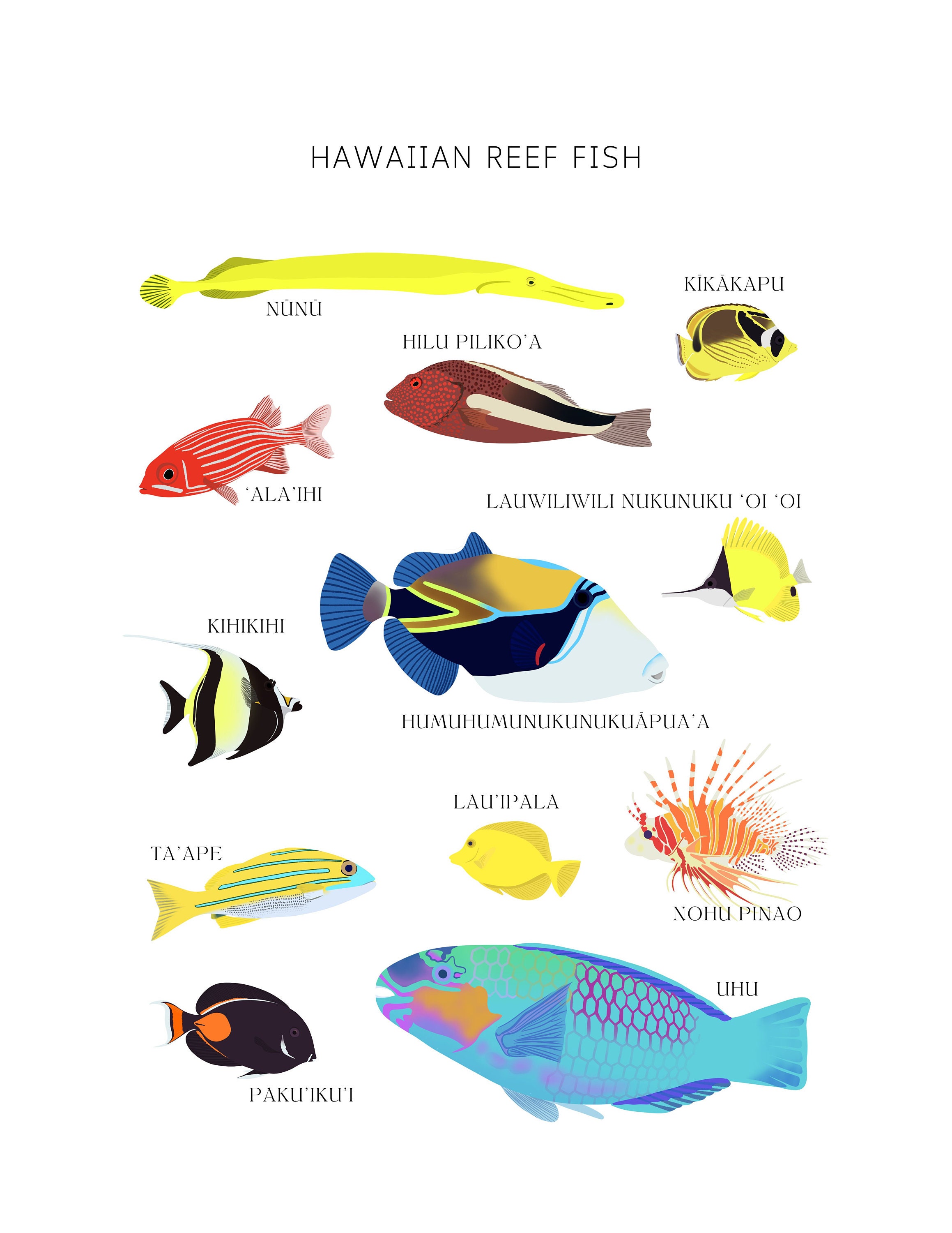 Hawaiian Reef Fish Restoring Reefs To Build Resilience | The Nature