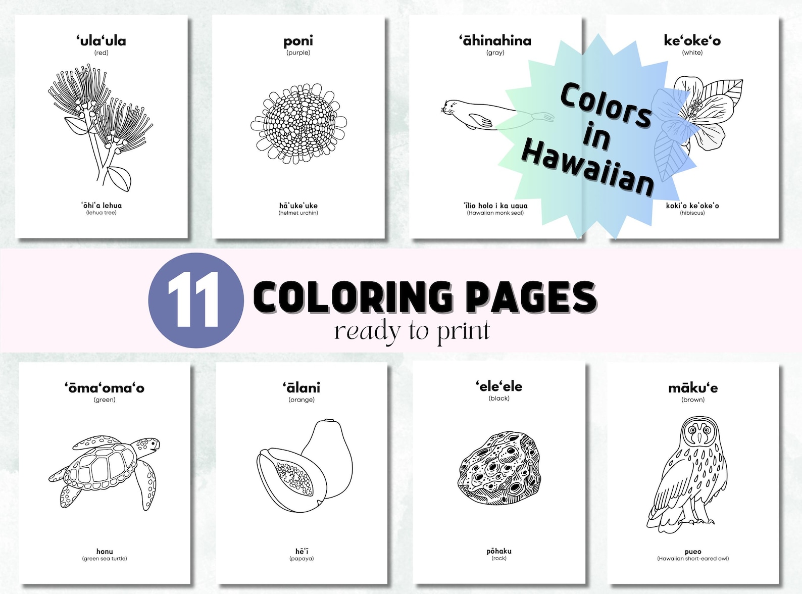 Hawaiian Colors Coloring Pages, Nā Waiho'olu'u, Digital Download ...