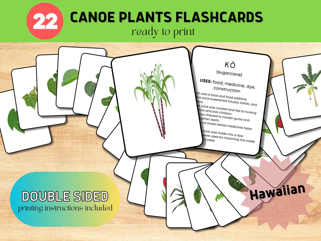 Canoe Plants of Hawaii Flash Cards, Digital Print, 'Ōlelo Hawai'i ...
