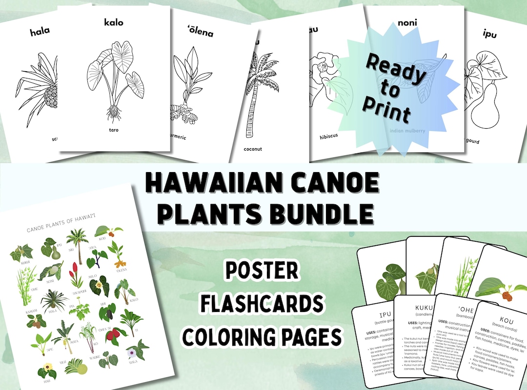 Canoe Plants of Hawaii Digital Bundle: Poster, Flashcards, Coloring ...
