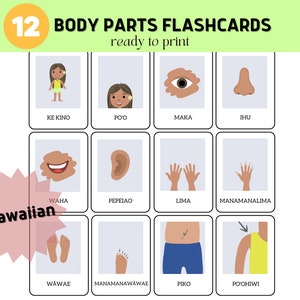 Hawaiian Educational Printable, Body Parts in Hawaiian, 'Ōlelo Hawai'i ...