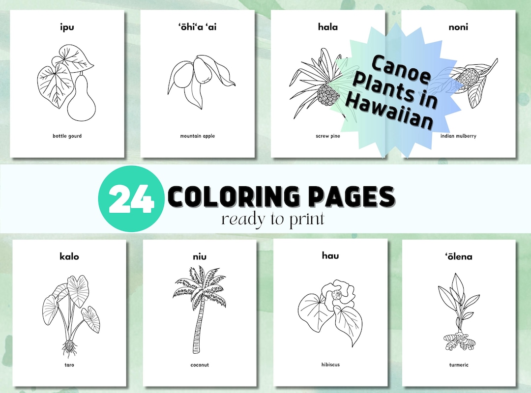 Canoe Plants of Hawai'i Coloring Pages, Digital Download, Education ...