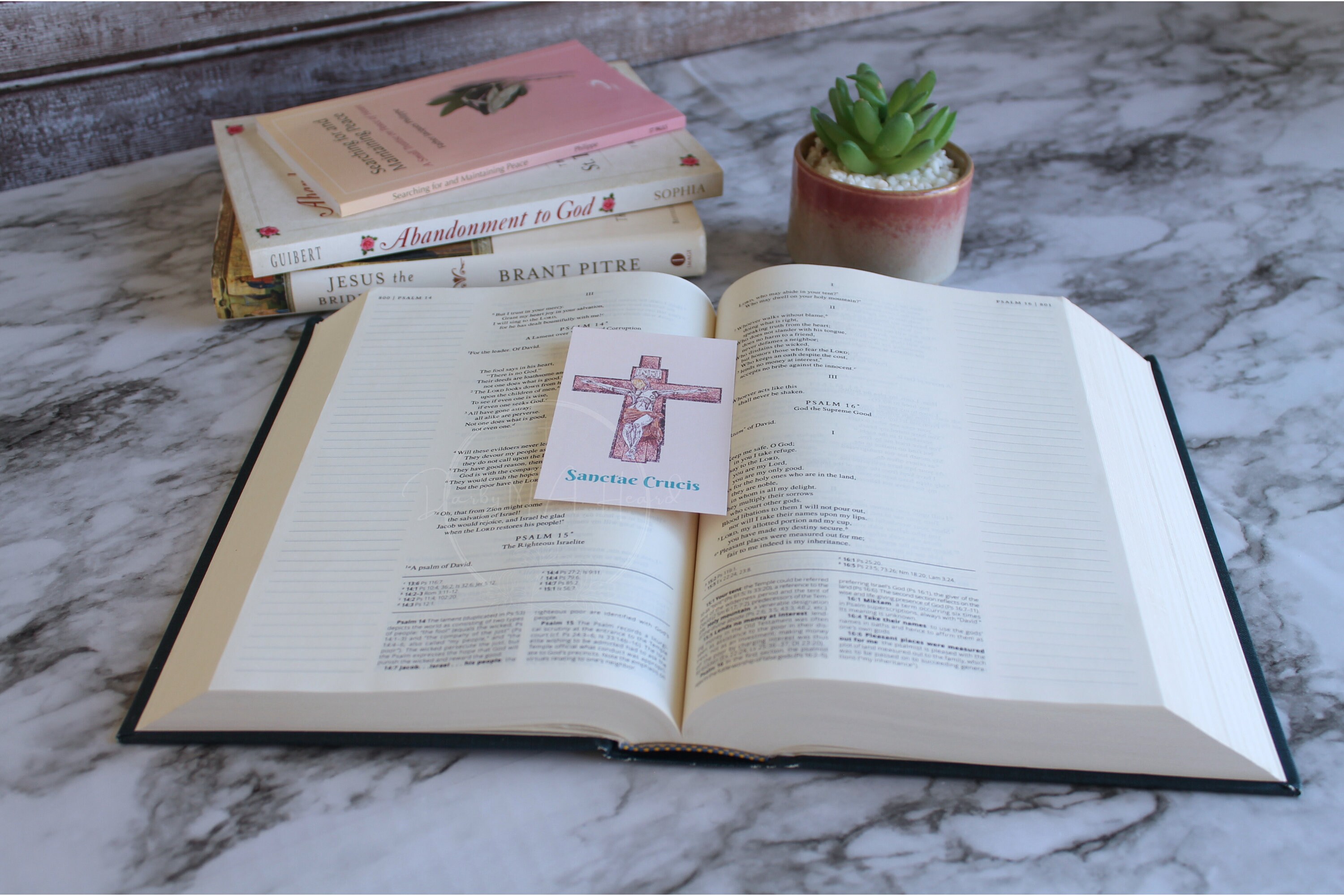 Sanctae Crucis Holy Card and St. Faustina Holy Card crucifixion ...