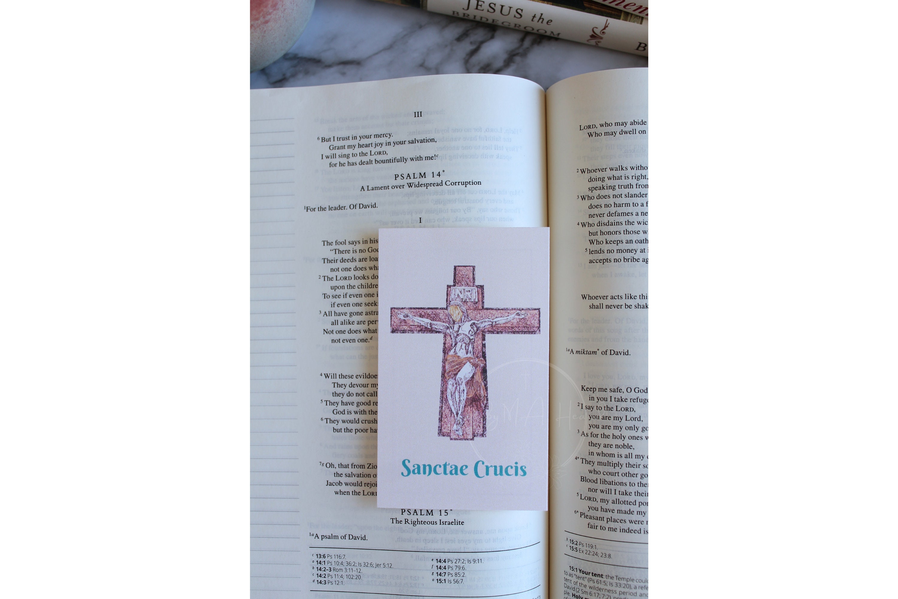 Sanctae Crucis Holy Card and St. Faustina Holy Card crucifixion ...