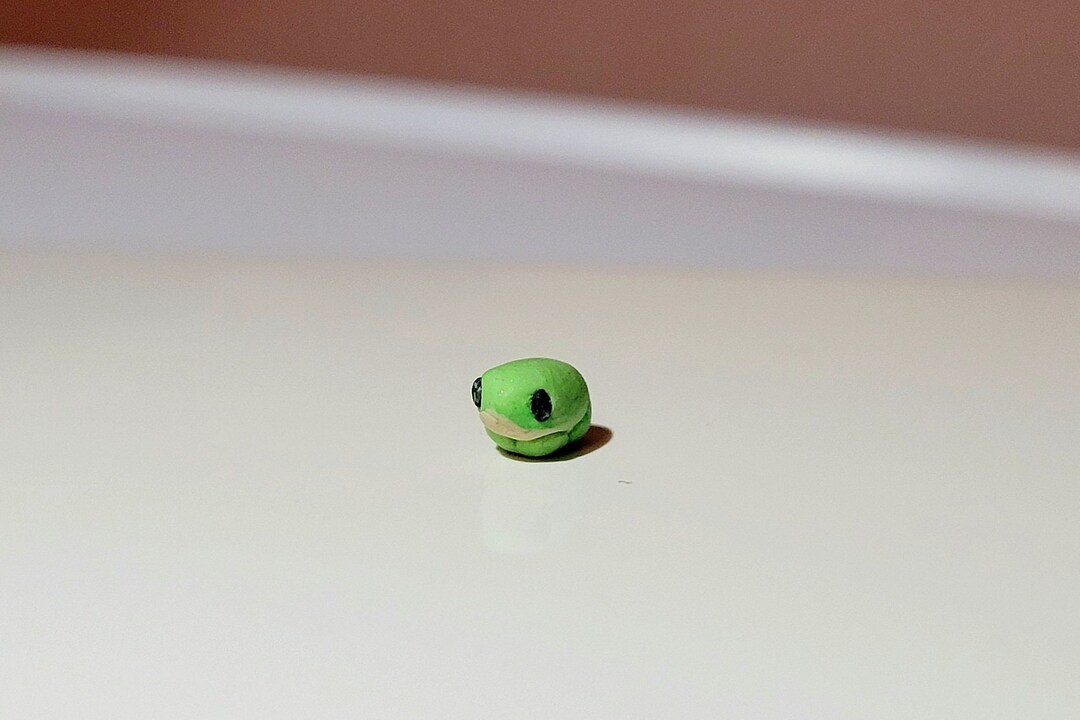 Adopt Me Polymer Clay Micro Frog - Etsy