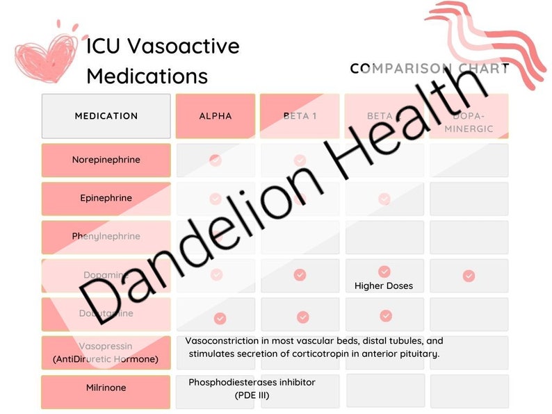 ICU Nursing Notes: Vasoactive Table - Etsy
