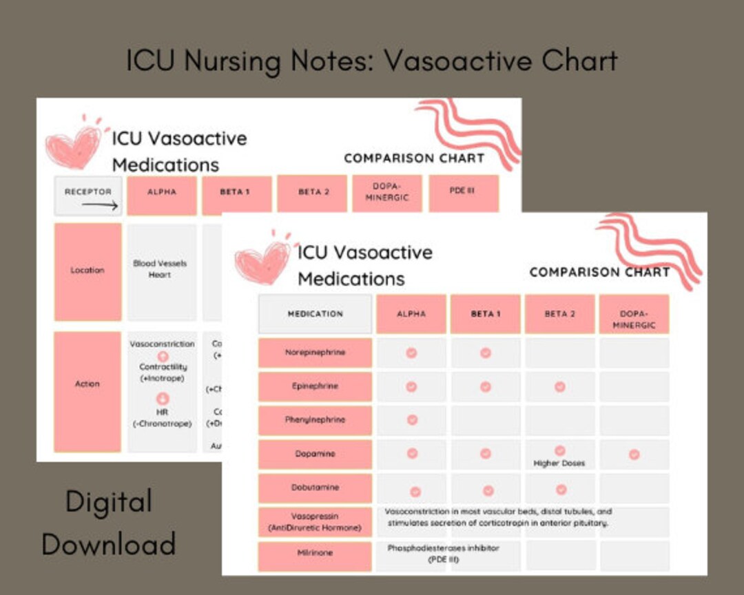 ICU Nursing Notes: Vasoactive Table - Etsy
