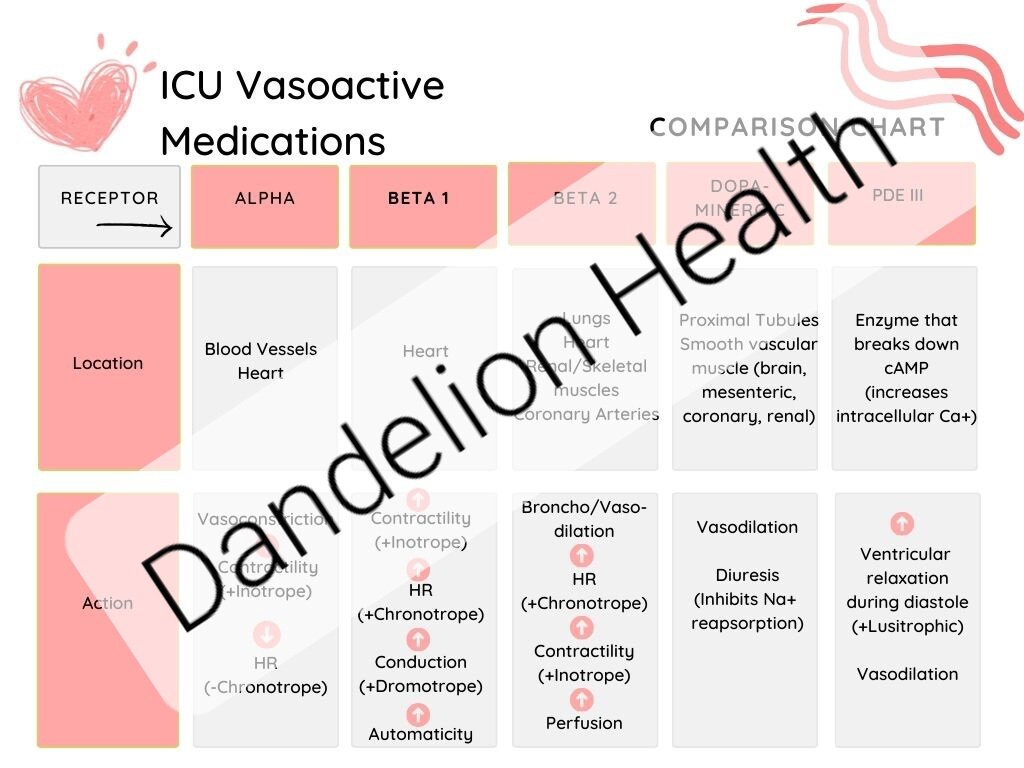 ICU Nursing Notes: Vasoactive Table - Etsy