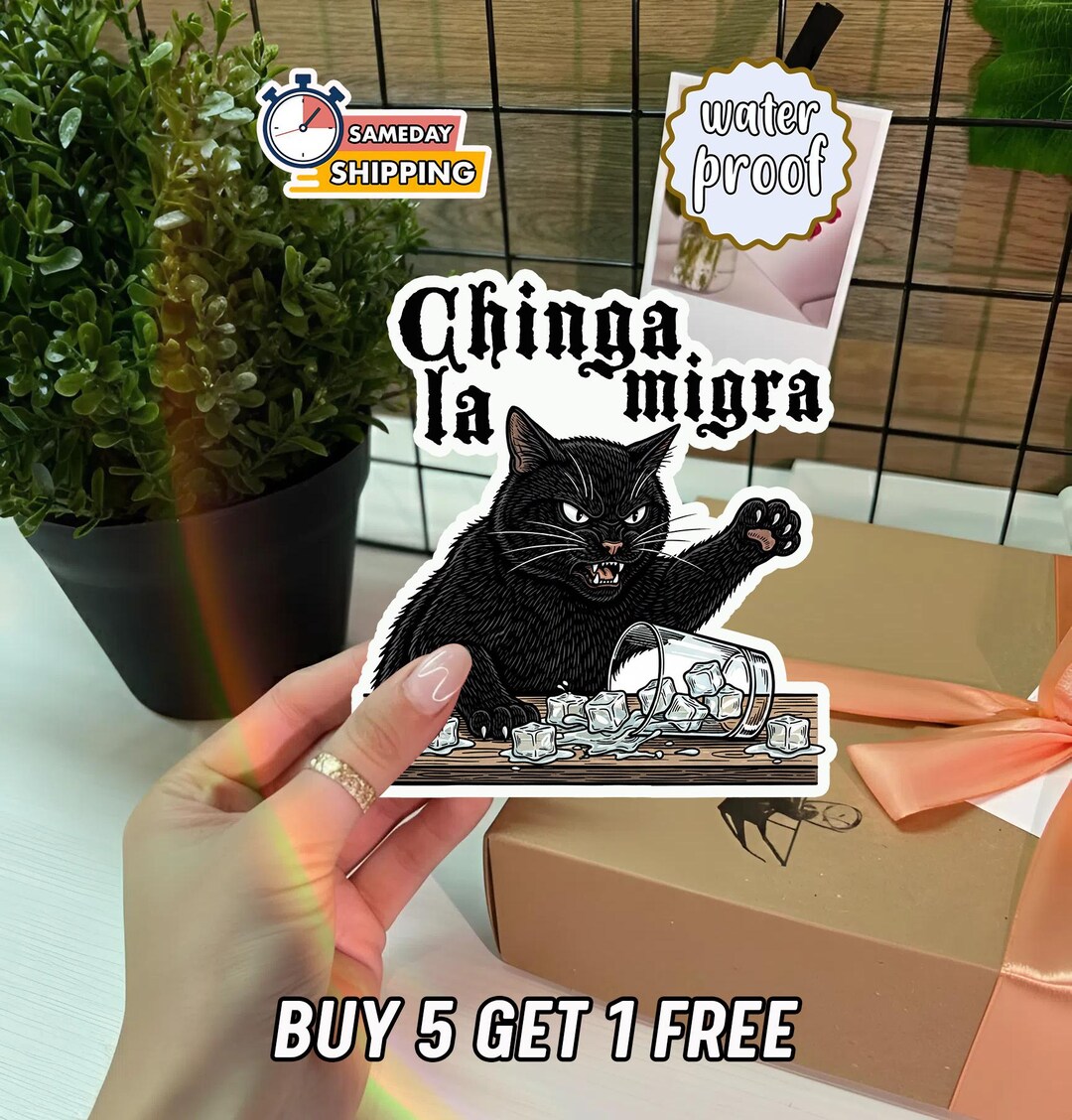 Pro Immigrant Cat Sticker, Anti ICE Message Vinyl Decal, No Human is ...