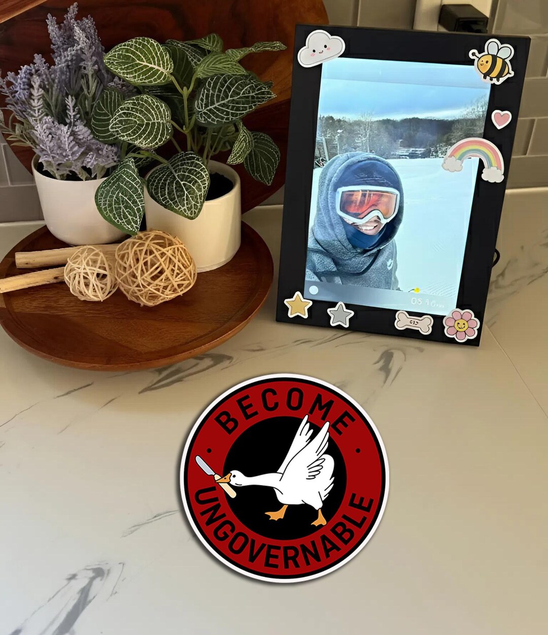 Mischievous Goose Sticker, Rebel Goose Meme Sticker, Funny Goose Laptop ...