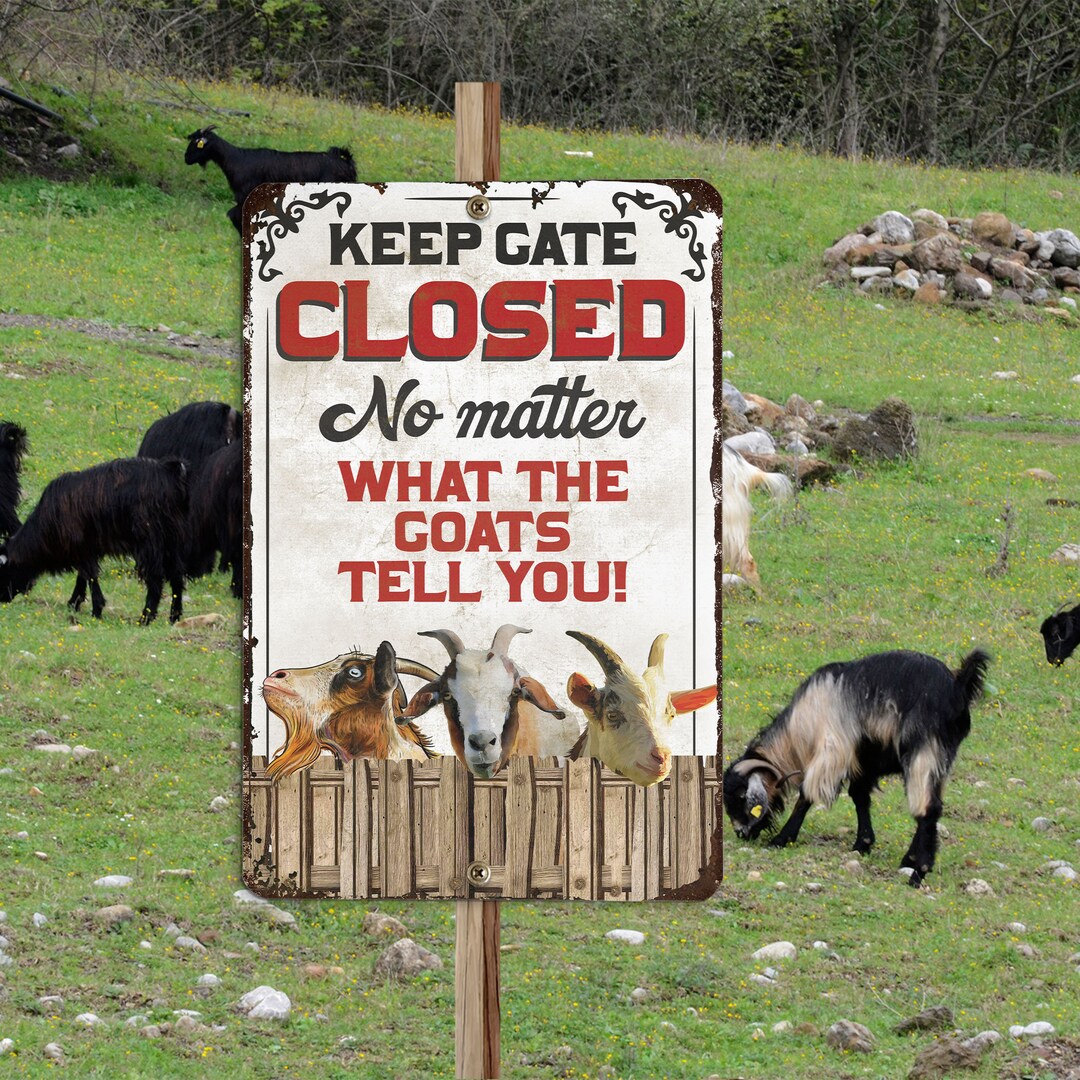 Goats Sheep Farm Classic Metal Sign, Personalized Ranch Sign, Metal ...