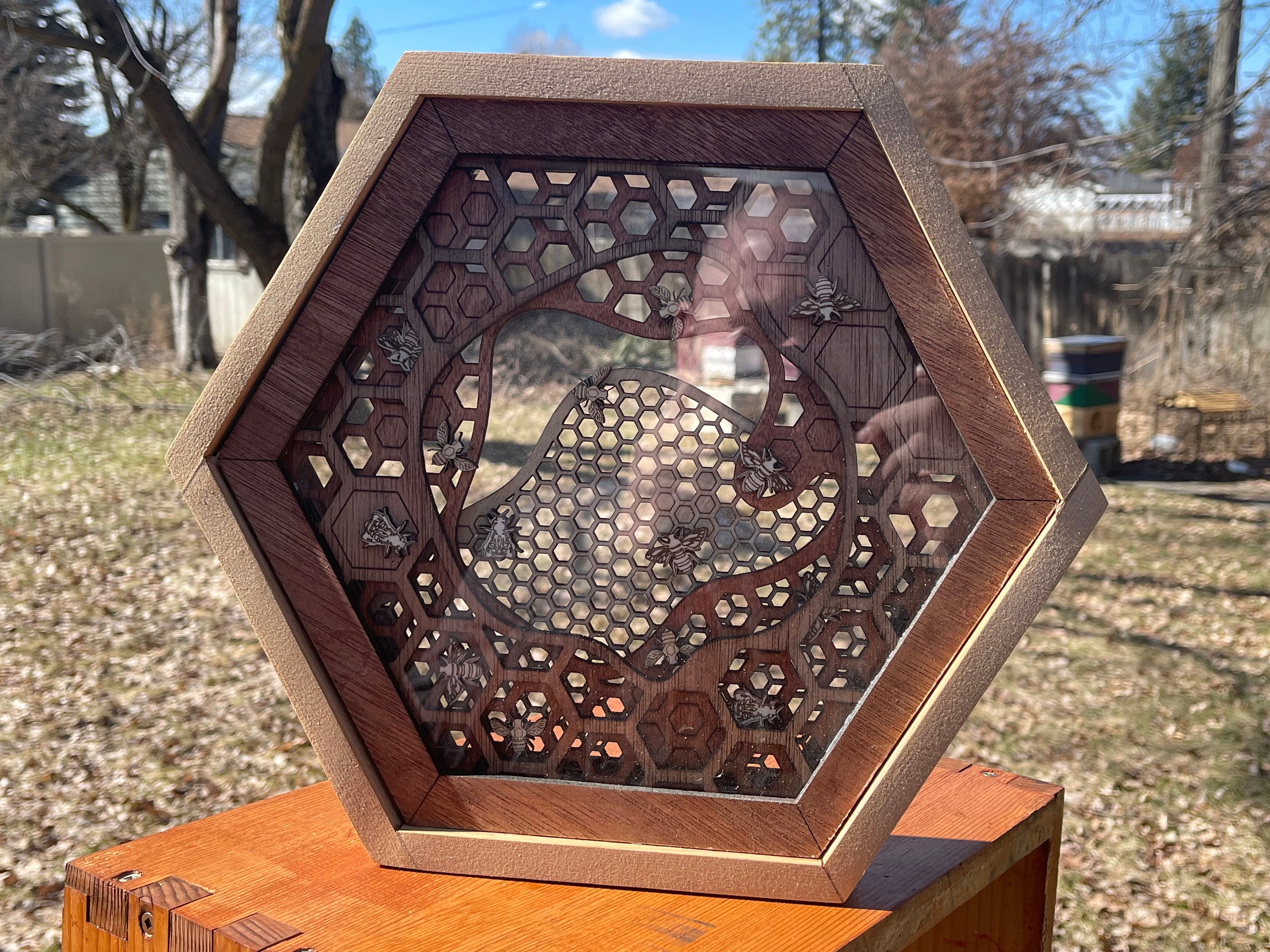 Observation Hive Decor - Etsy