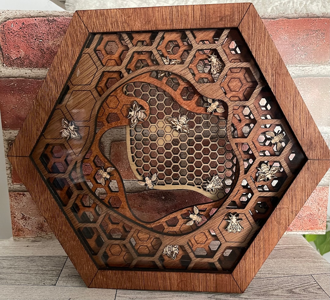 Observation Hive Decor - Etsy