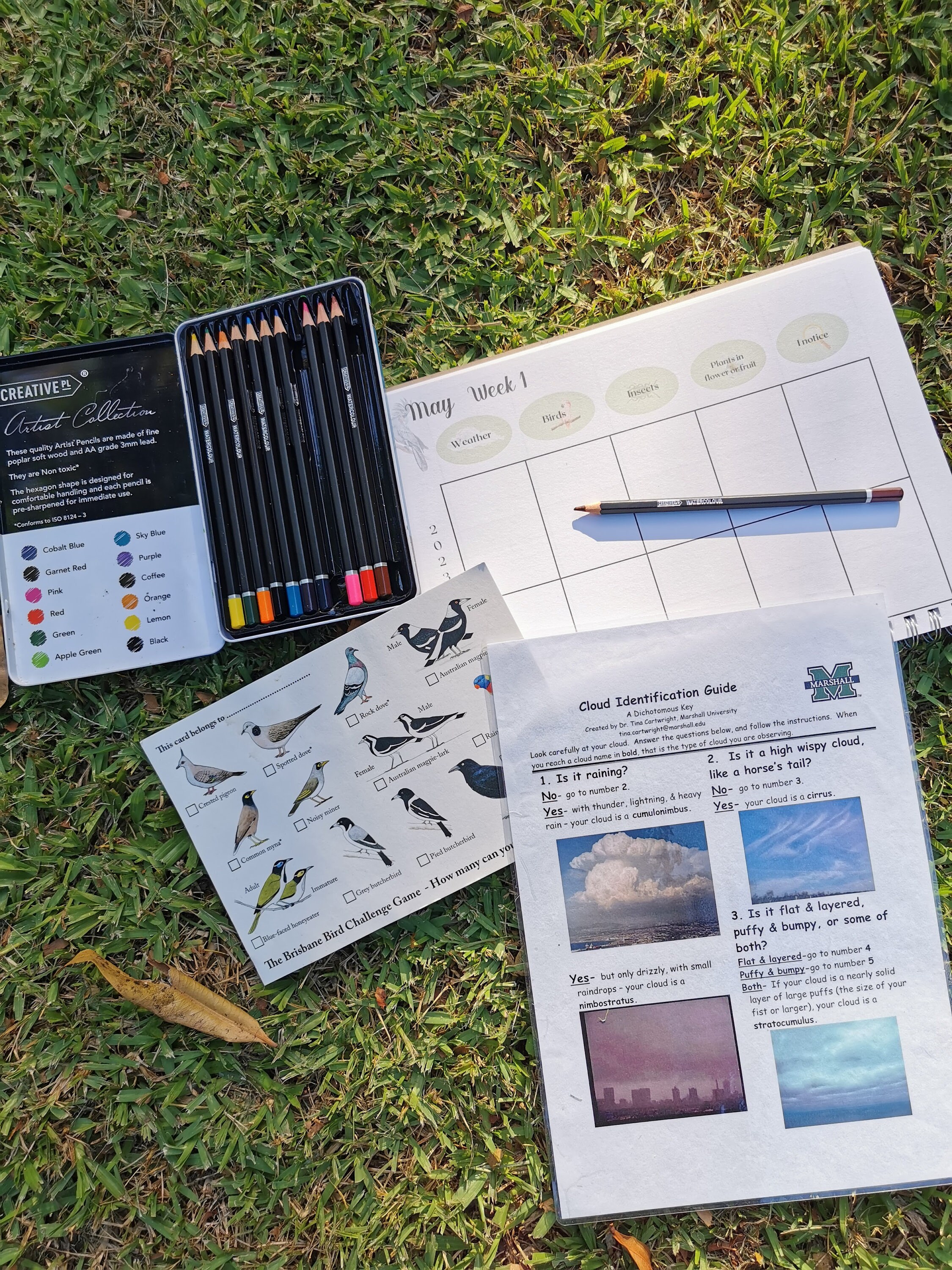 Nature Journal, Garden Journal, Charlotte Mason Nature Study ...
