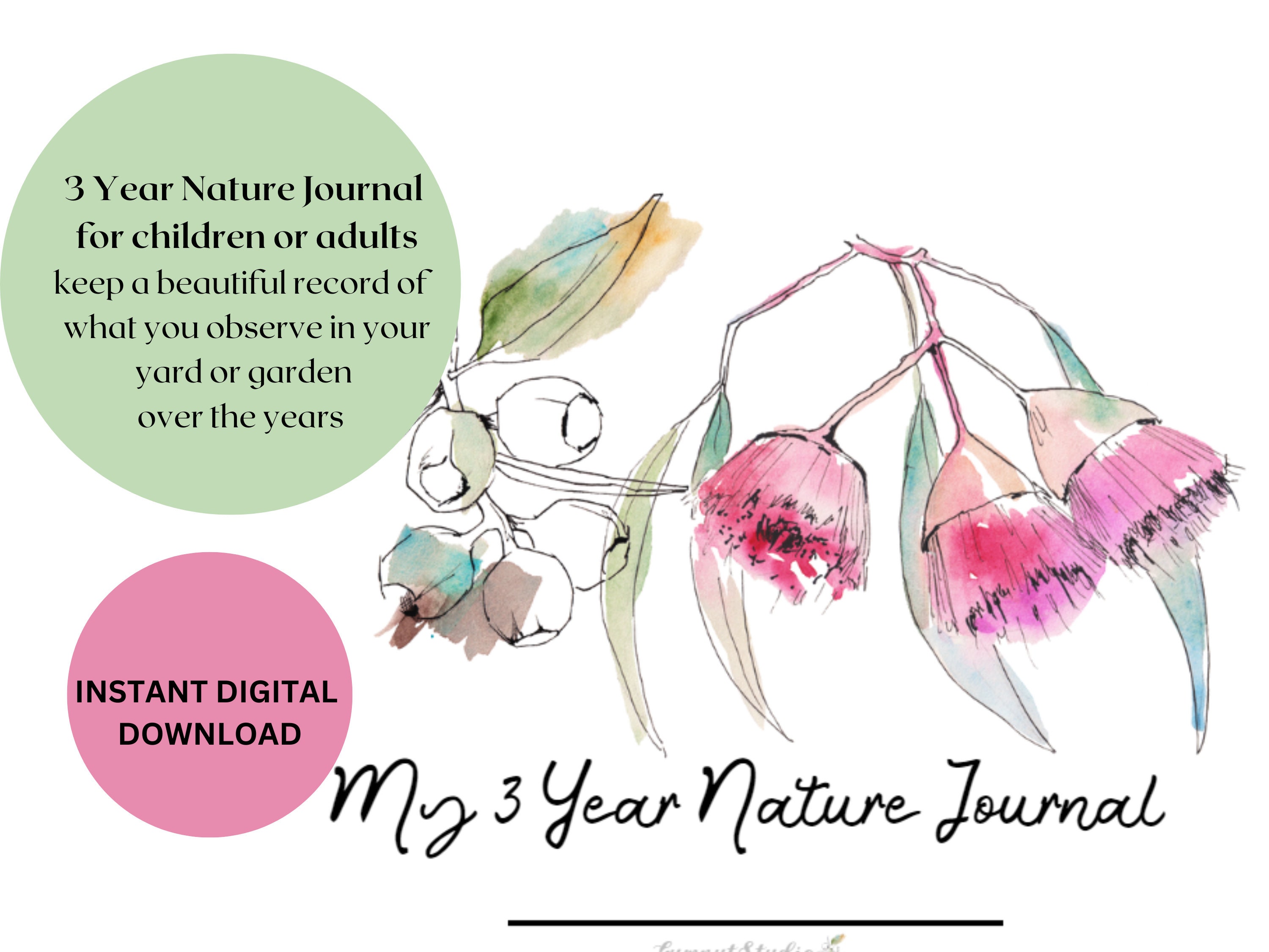 Nature Journal, Garden Journal, Charlotte Mason Nature Study ...