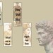 Printable Latin Bookmarks | Digital Download Latin Language | Gift for ...
