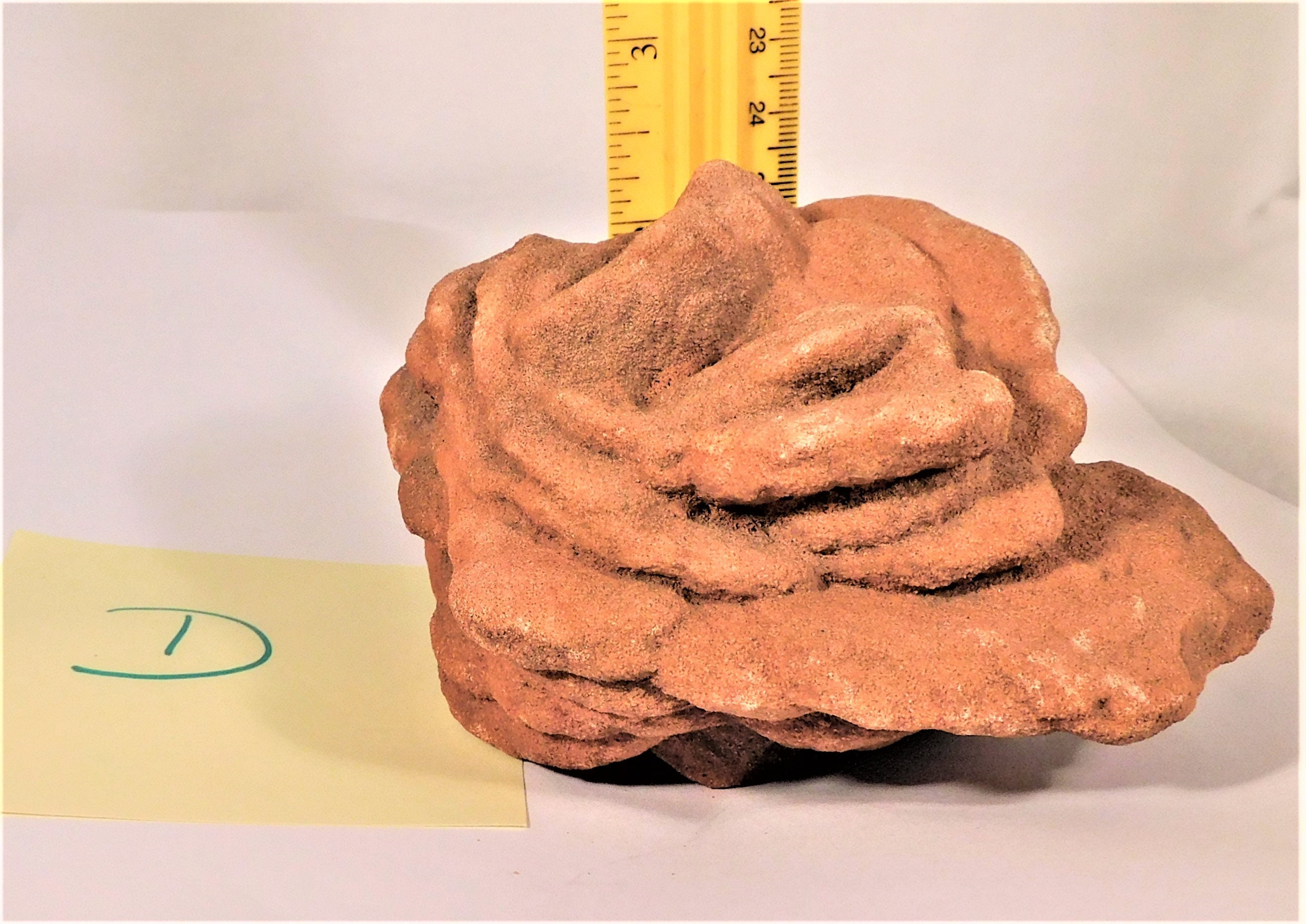 Oklahoma Barite Rose State Rock Unique Collectible - Etsy