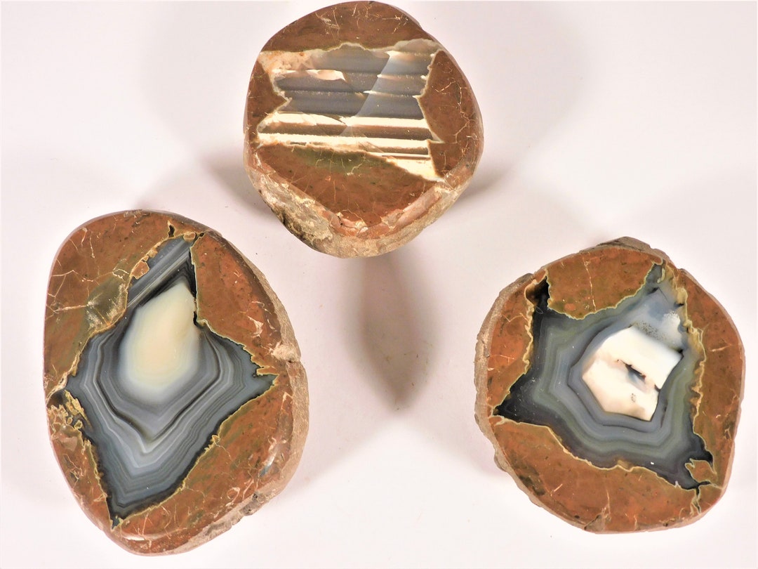 Polished Geode Halves From Priday Ranch Beds Oregon - Etsy