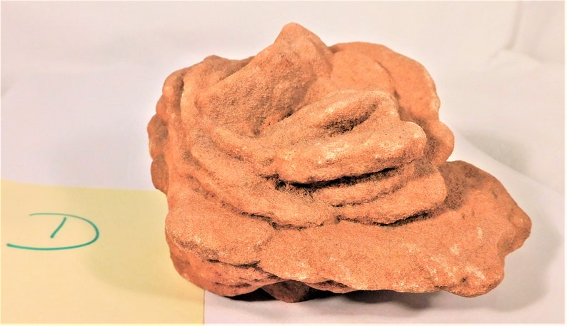 Oklahoma Barite Rose State Rock Unique Collectible - Etsy