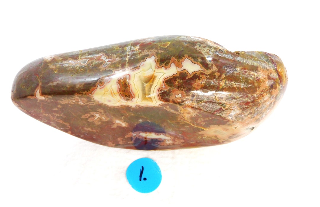Large Fairburn Agate Covered With Pattern and Nice Crystal Pocket - Etsy