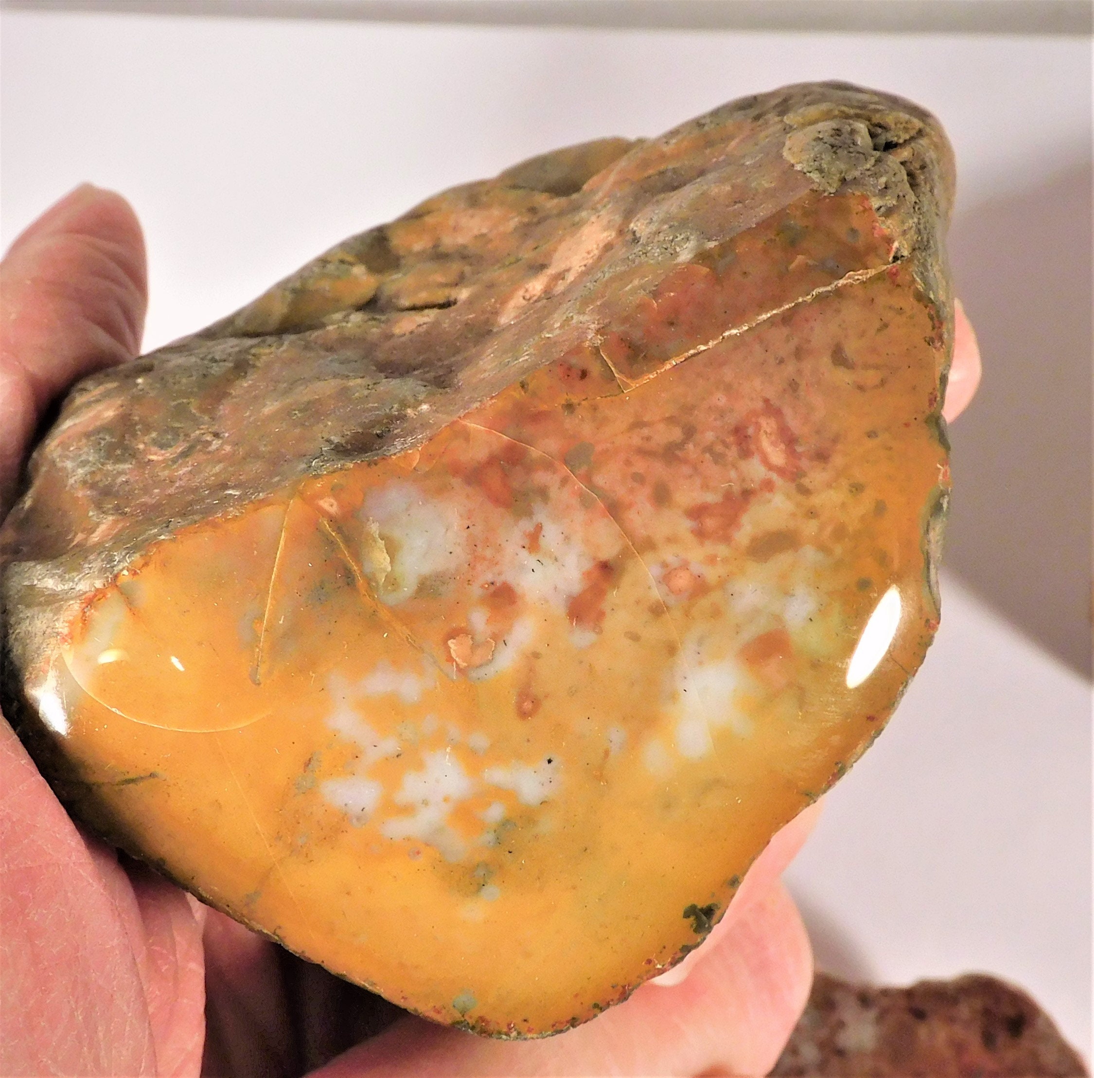 Mix of High Face Polished Jaspers From Nebraska - Etsy