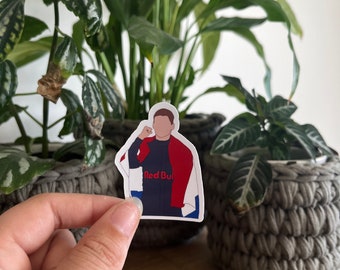 Max Verstappen Sticker Combo Pack HOLOGRAPHIC Cute F1 Stickers - Etsy