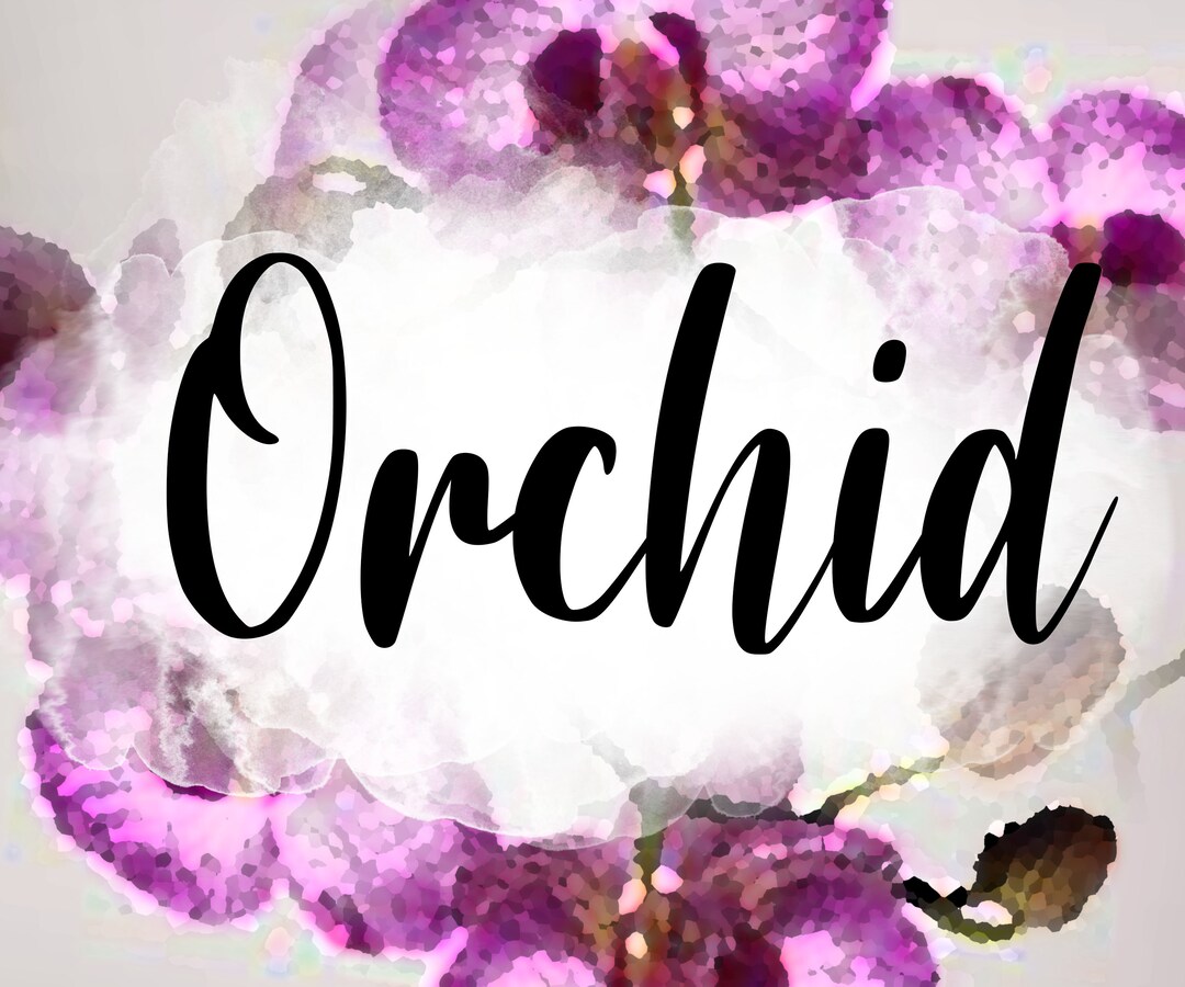 Orchid Font Calligraphy Font, Script Font, Farmhouse Font, Cricut Font ...