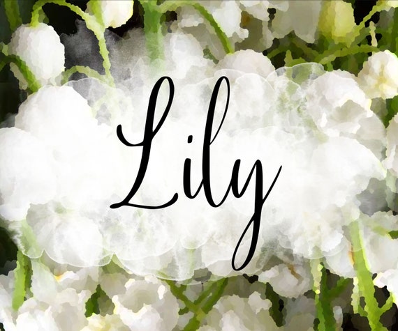 Lily Name Fonts