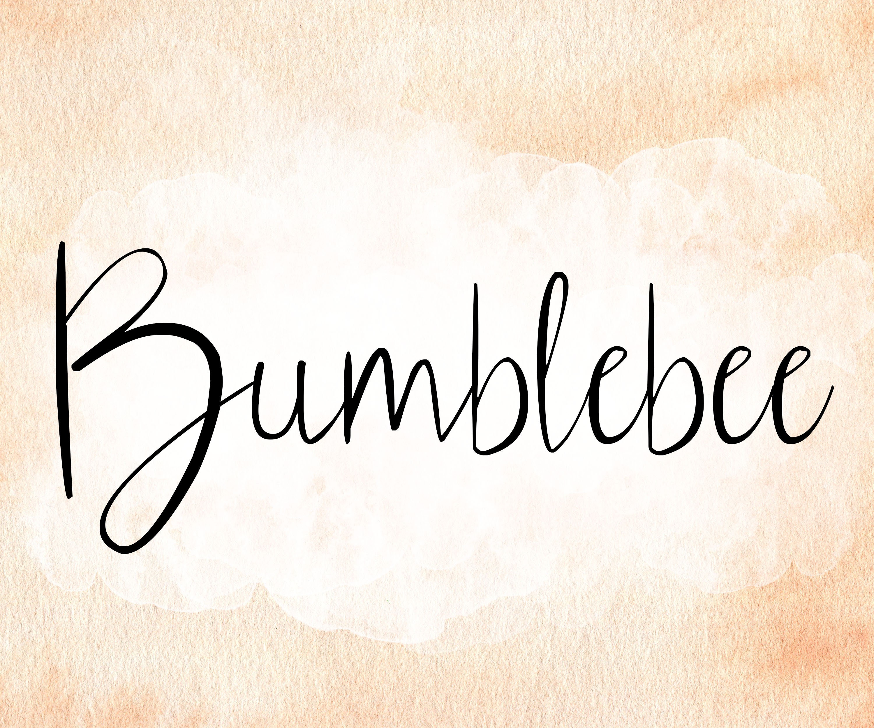 Bumblebee Font Calligraphy Font Script Font Farmhouse - Etsy UK