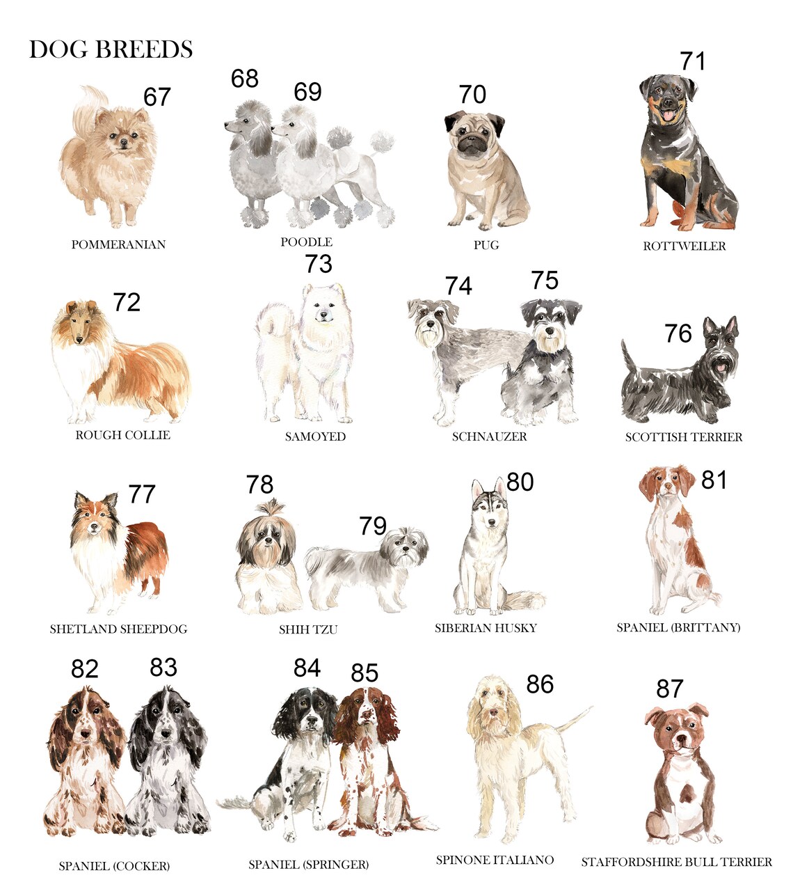 Personalised Dog Card for Your Husband, Wife, Dog Mum, Dog Dad, Friend ...