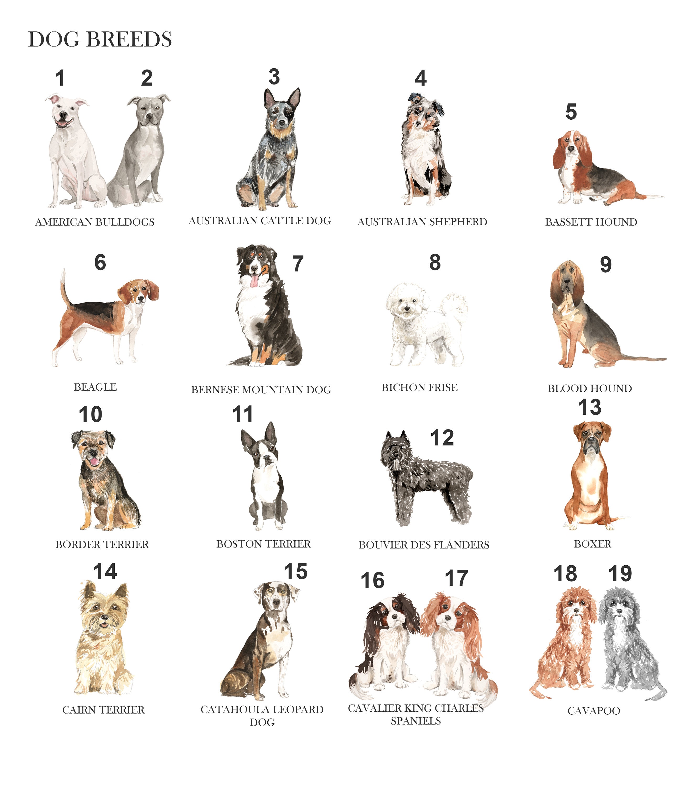 Personalised Dog Card for Your Husband, Wife, Dog Mum, Dog Dad, Friend ...