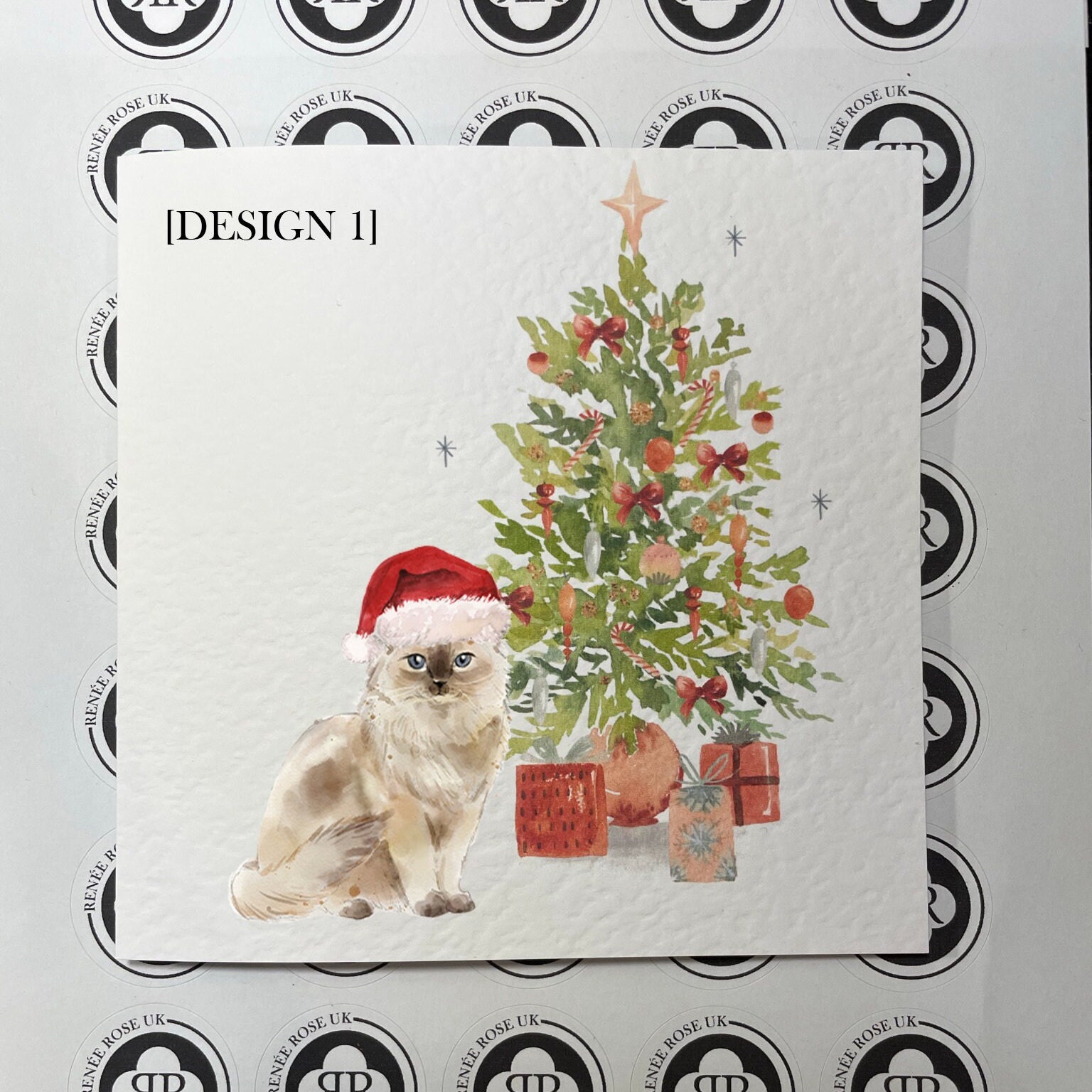 Pack of 5 Ragdoll Cat Christmas Cards. 3 Background Designs and Cat ...