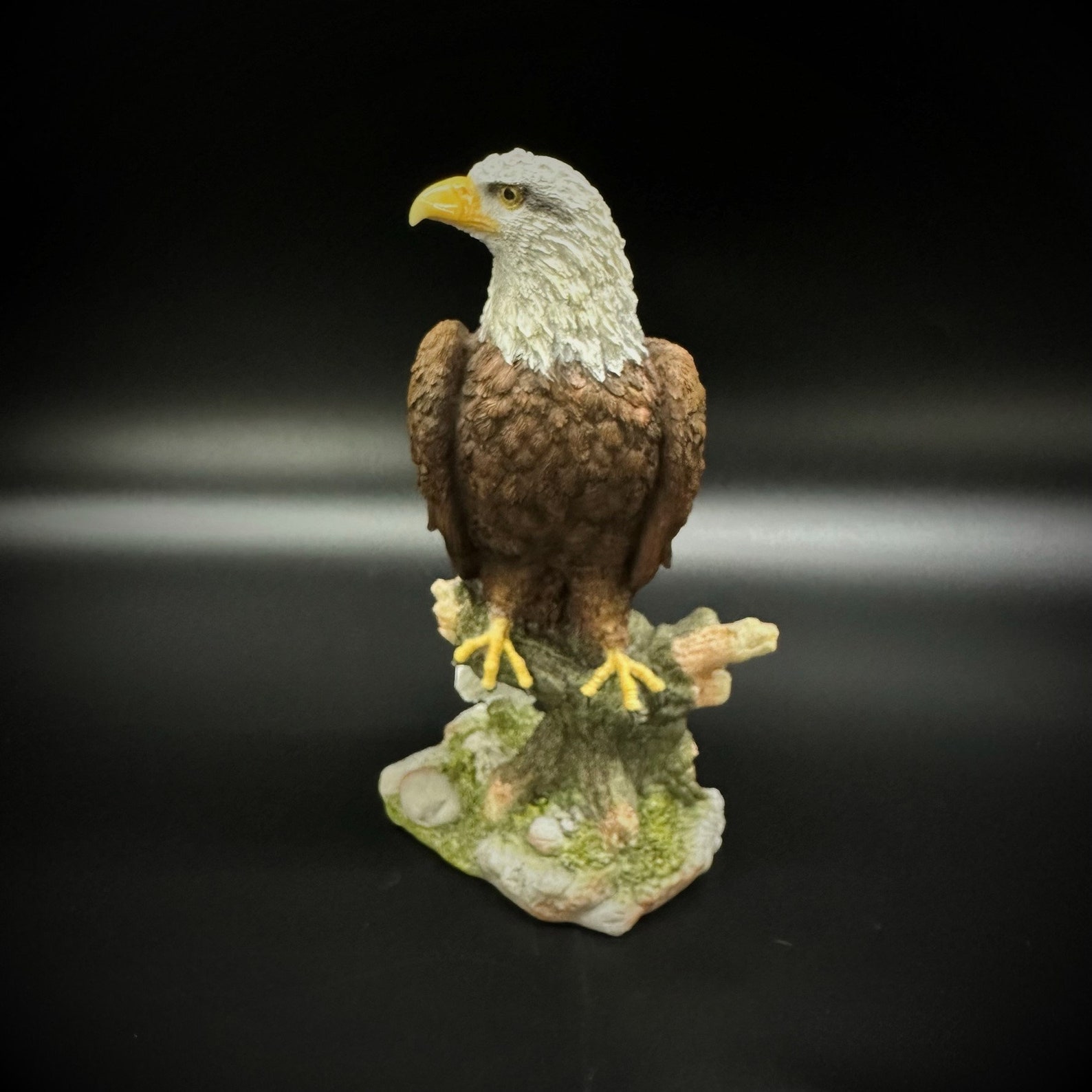 American Eagle I Bald Eagle I National Bird of America I White Headed ...