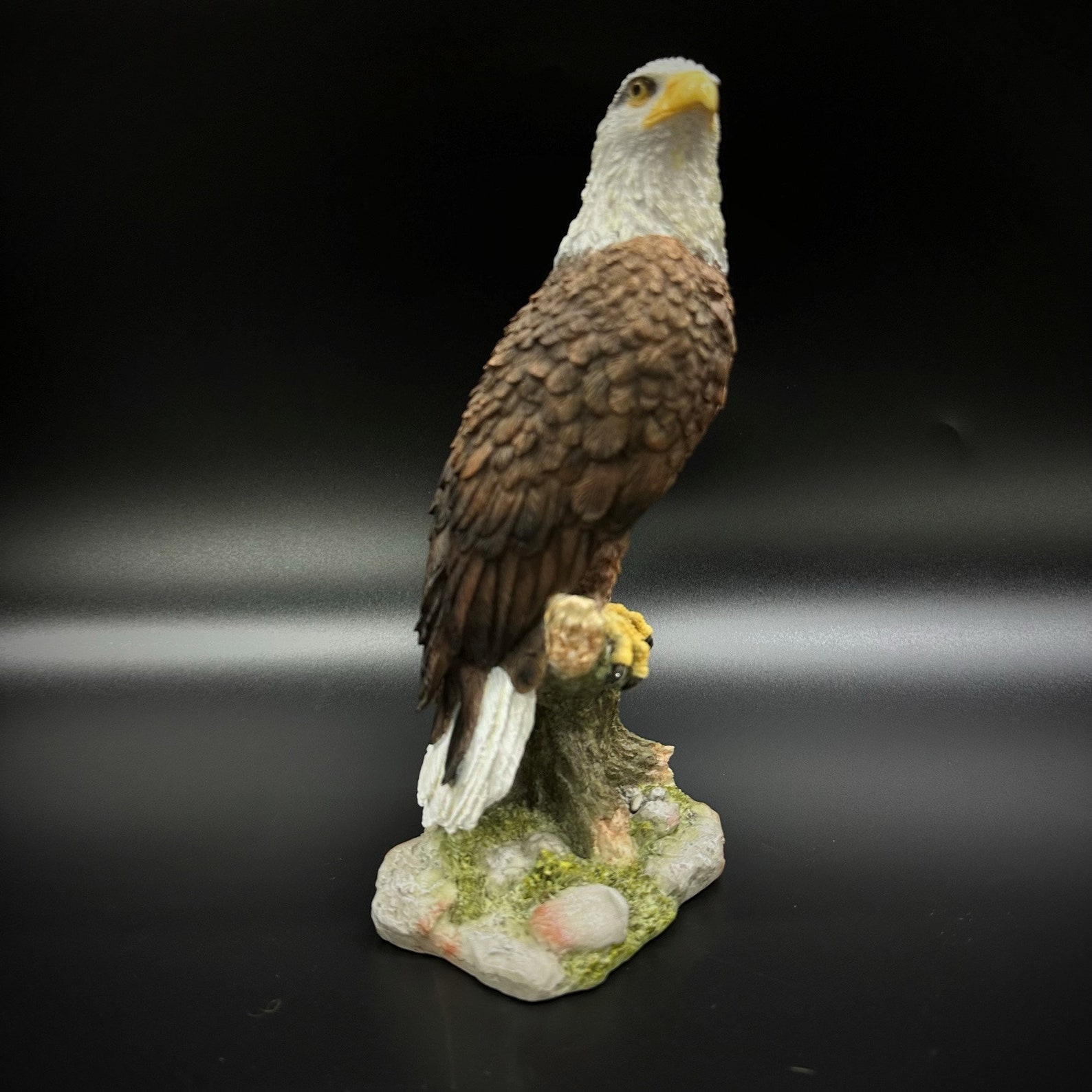 American Eagle I Bald Eagle I National Bird of America I White Headed ...