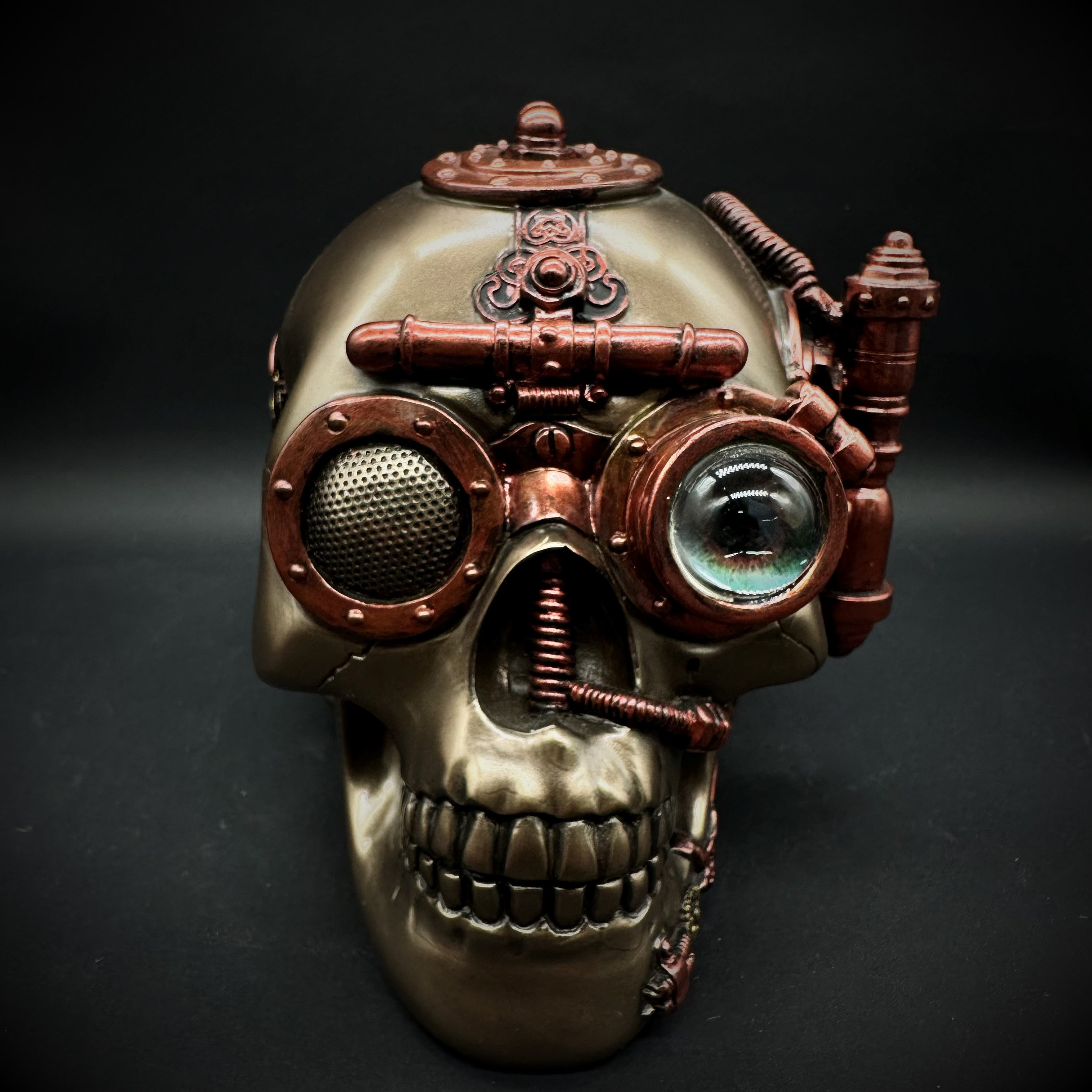 Steampunk Skull Statue With Secret Compartment Resin Skull - Etsy