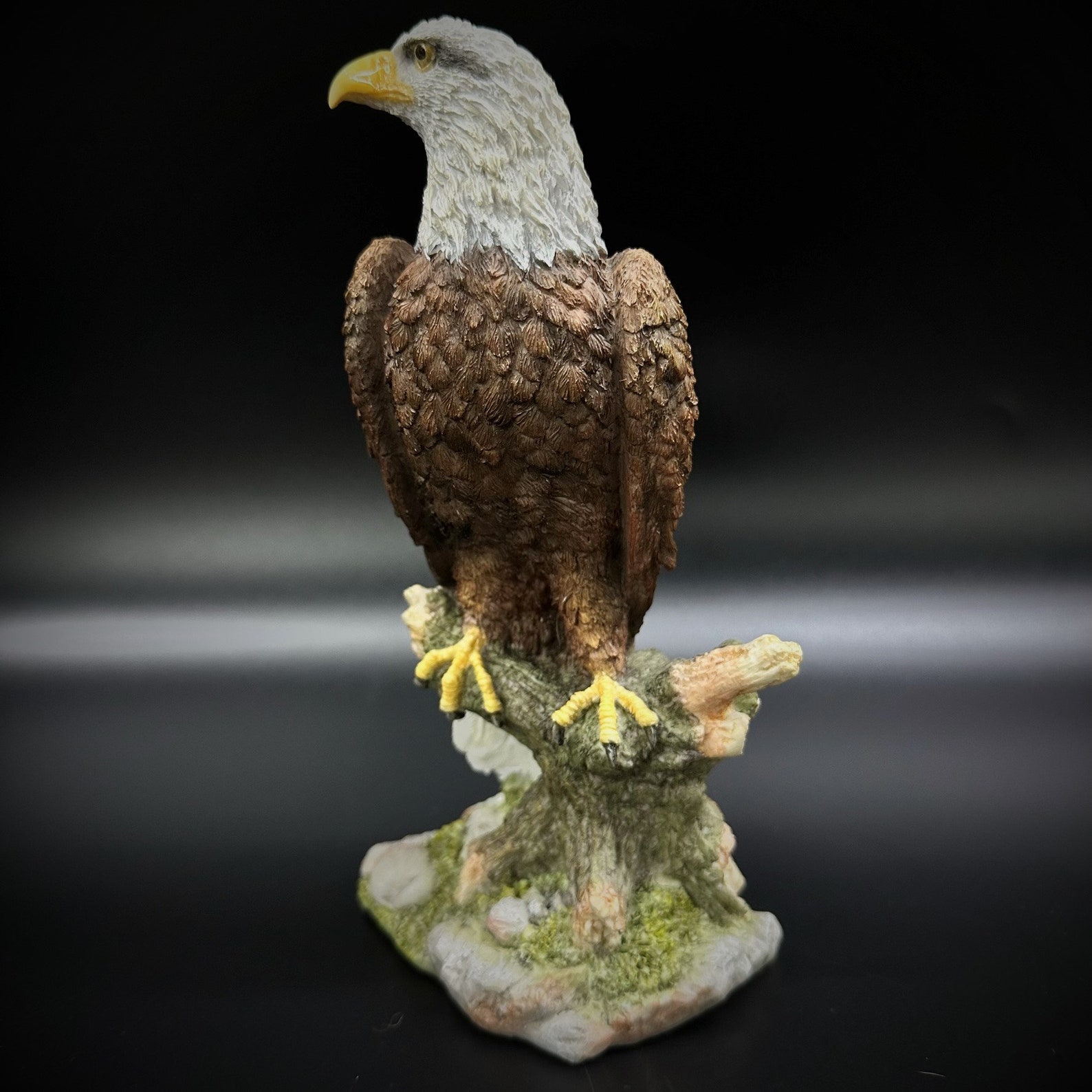 American Eagle I Bald Eagle I National Bird of America I White Headed ...