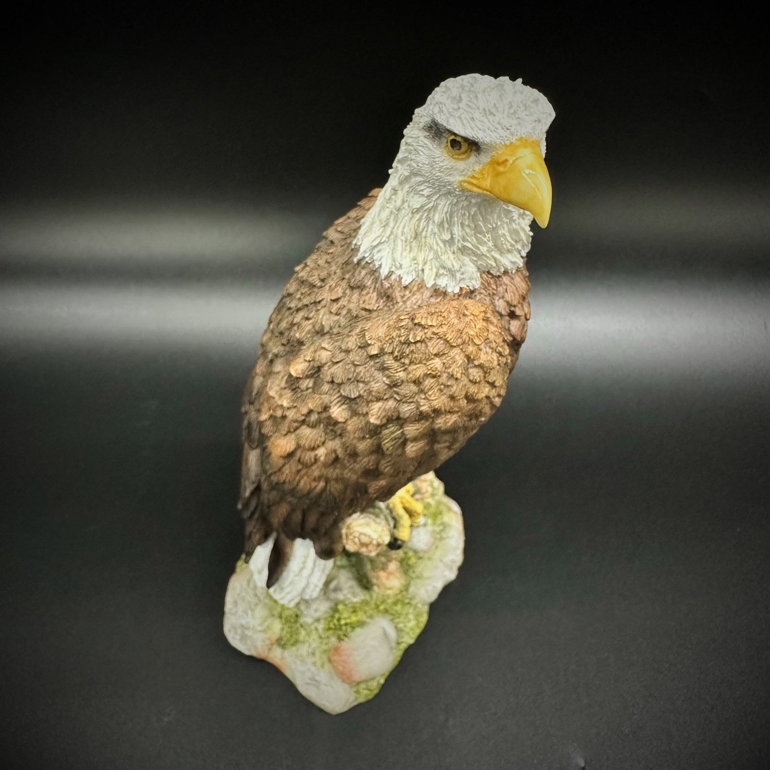 American Eagle I Bald Eagle I National Bird of America I White Headed ...