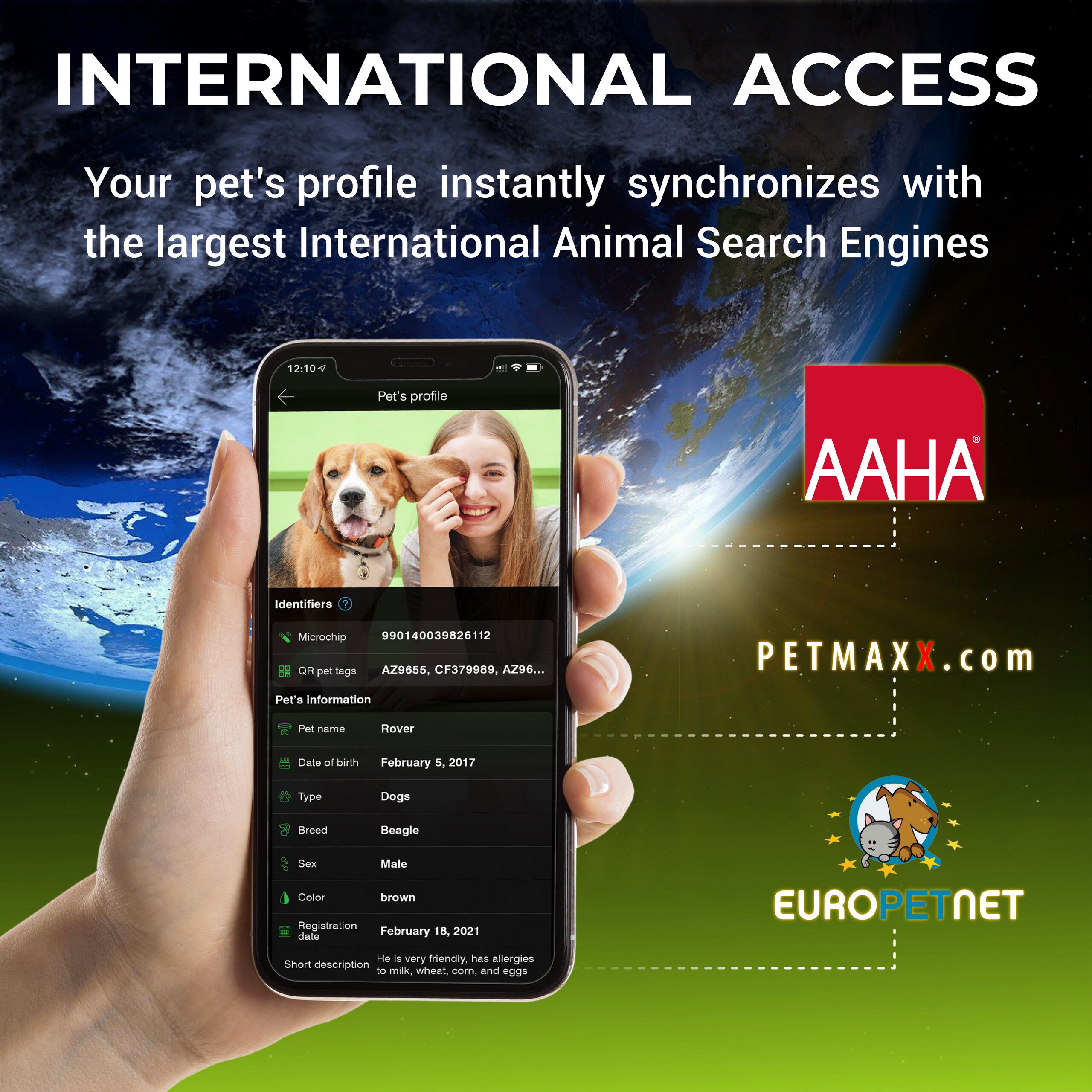 Custom Tags for Dogs, Tags for Cats, Custom Dog Tag, Gift for Pet, Dog ...