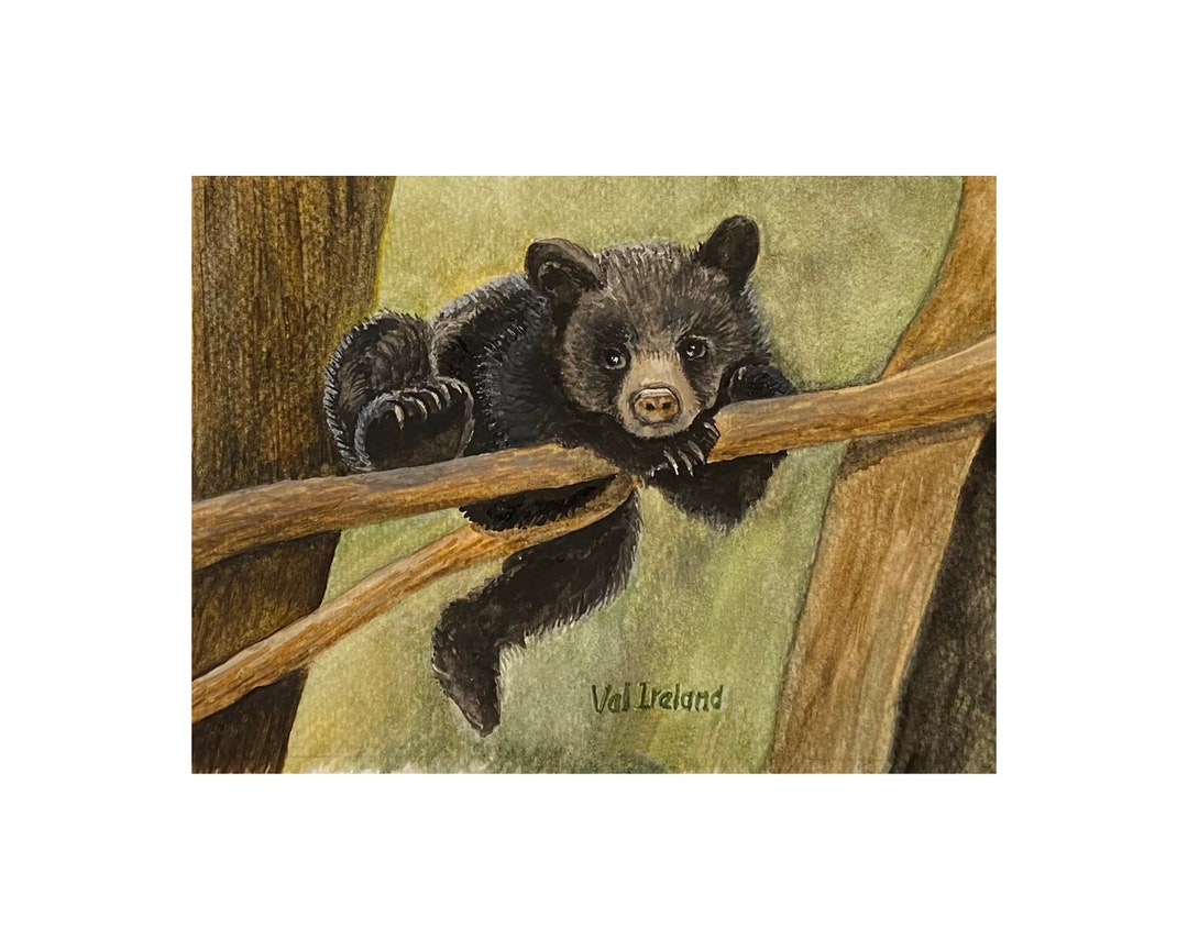 Bear Cub Watercolor - Etsy