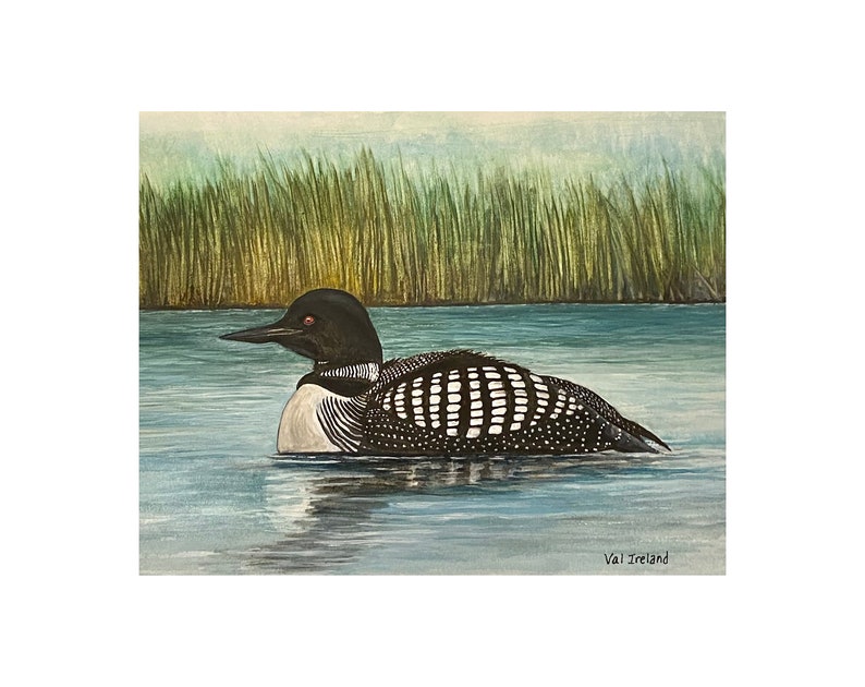 Lake Loon Watercolor Matted Print - Etsy