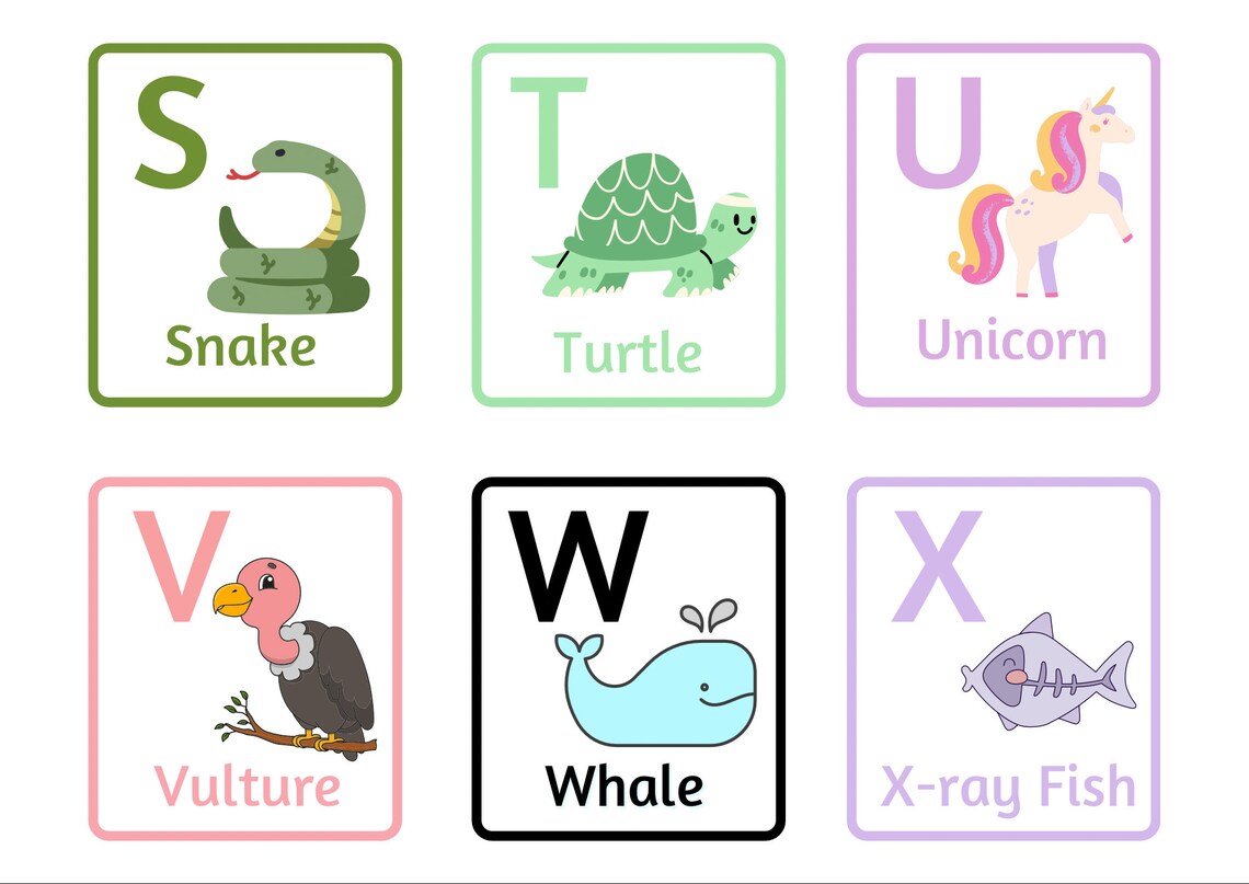 Animal Alphabet Flash Cards - Etsy