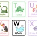 Animal Alphabet Flash Cards - Etsy