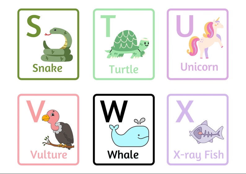 Animal Alphabet Flash Cards - Etsy