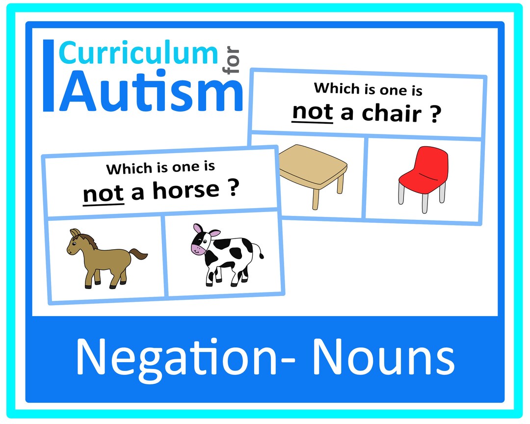 Negation Nouns Picture Clip Cards Autism Special Education - Etsy