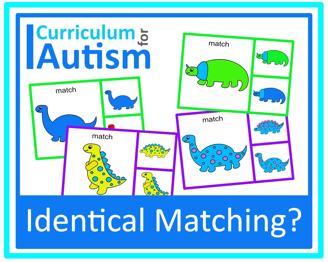 Dinosaur Identical Picture Match Clip Cards Autism Special Education - Etsy