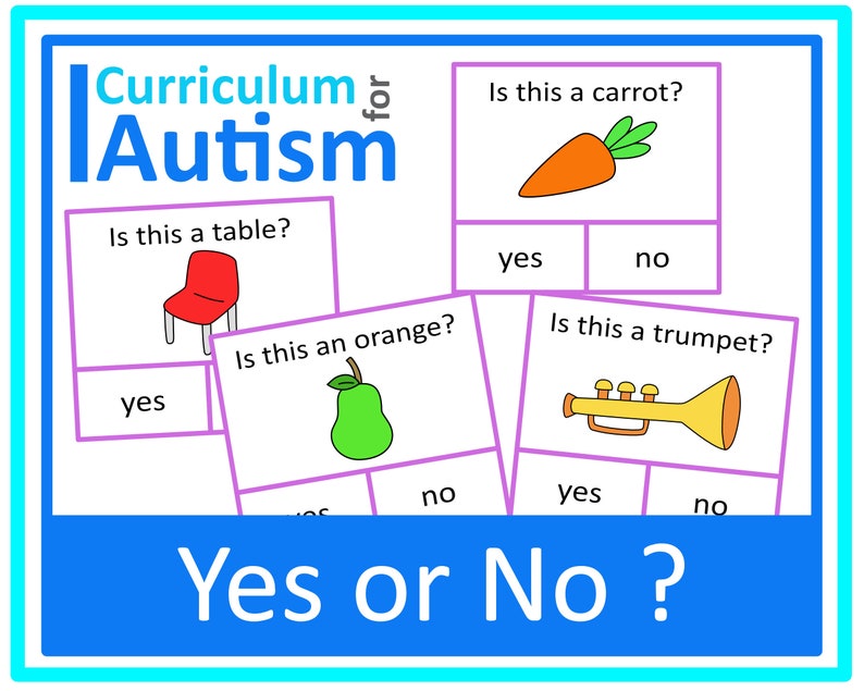 Nouns Yes or No Picture Vocabulary Clip Cards Autism Special Education ...