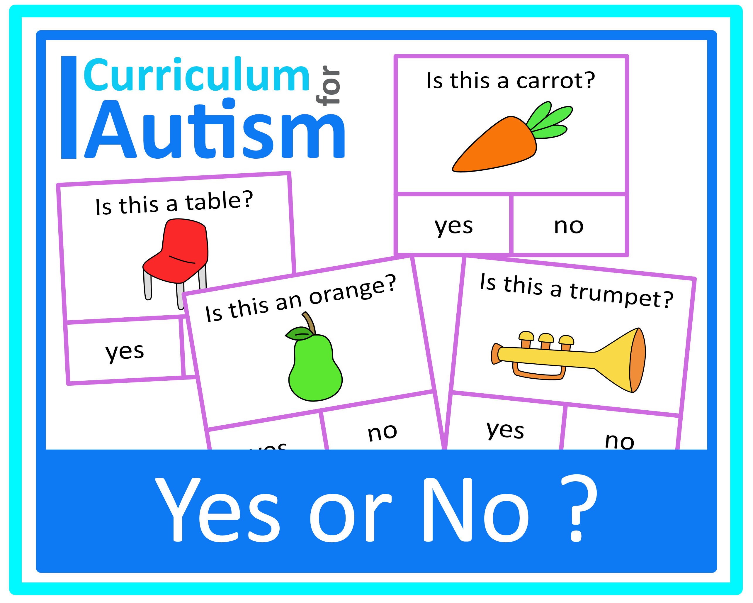 Nouns Yes or No Picture Vocabulary Clip Cards Autism Special Education ...