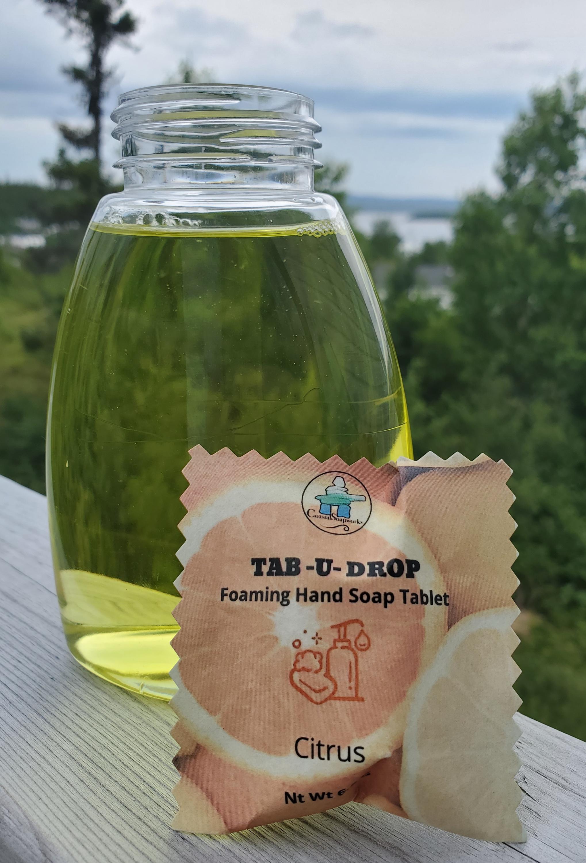 Eco-friendly Foaming Hand Soap Tablet Recipe | Simple DIY Soap Making ...