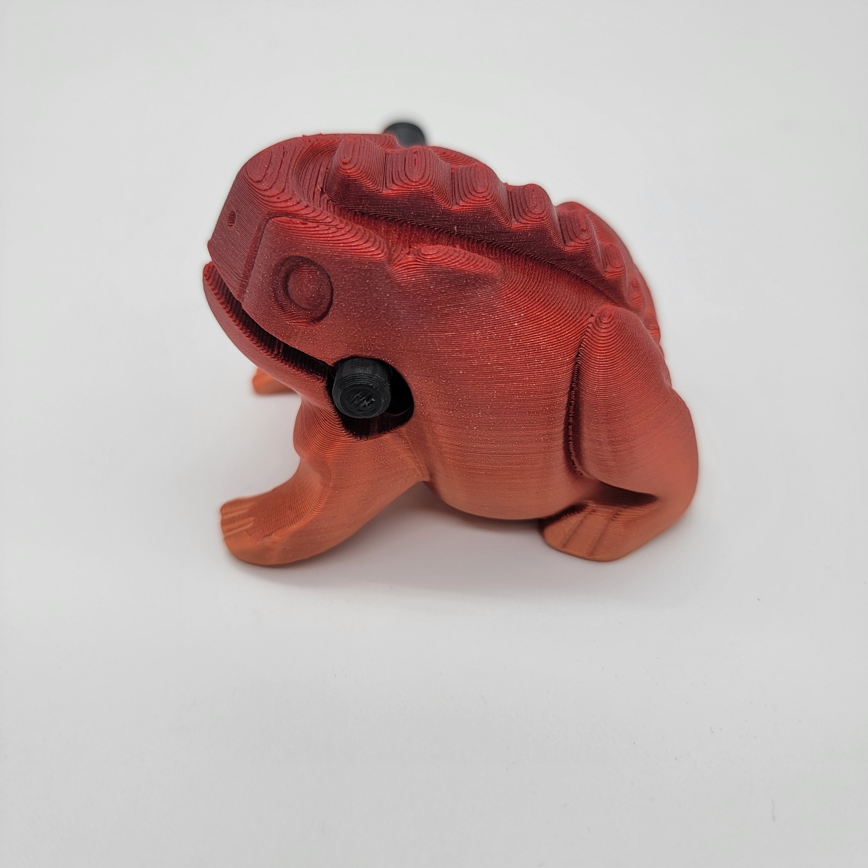 Frog Fidget Toy Musical Frog Percussion Instrument Frog Musical ...